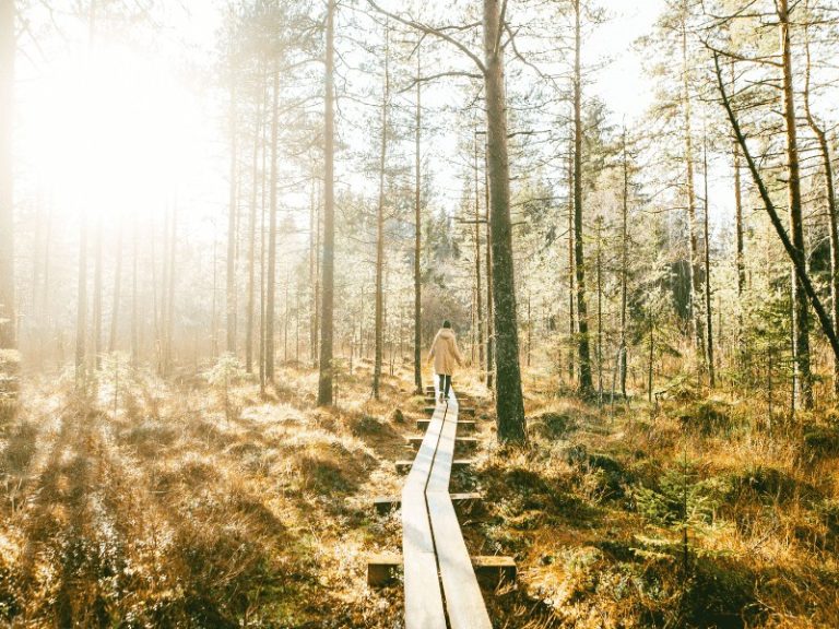 15 spiritual morning rituals to create a balanced life - Danish Mom